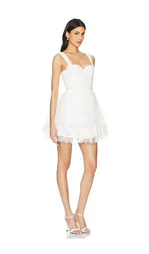 Alice + Olivia Lace Mini Dress