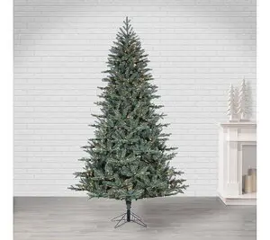 STERLING 7.5 Ft Prelit Warm White Led Blue Spruce Tree By - One-color