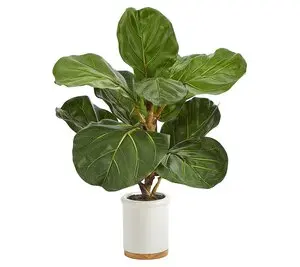 NEARLY NATURAL 21' Fiddle Leaf Artificial Tree