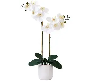 NEARLY NATURAL 26' Real Touch Double Orchid Pha Laenopsis - One-color