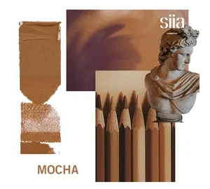 SIIA COSMETICS Luminous Longwear Liquid Foundation