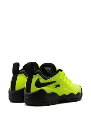 Nike X Supreme Sb Darwin Low Sneakers