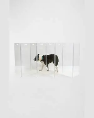 HIDDIN Freestanding Pet Gate Zig Zag, 8-panel - Clear