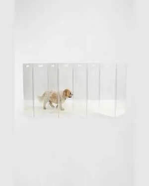 HIDDIN Freestanding Pet Gate Zig Zag, 8-panel - Clear