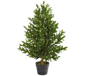 NEARLY NATURAL 35' Olive Cone Topiary Uv Resist Ant - One-color