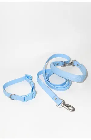 SPRINGER Dog Leash & 22 Oz. Water Bottle Set - Sky Blue