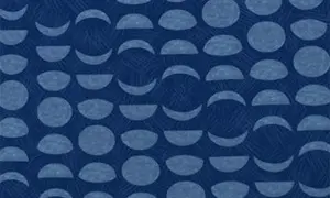 DENY DESIGNS Moon Sky Phases S Accent Pillow