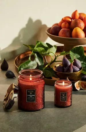 Voluspa Small Jar Candle
