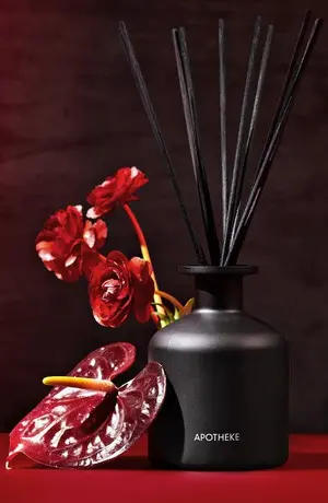 APOTHEKE Charcoal Rouge Reed Diffuser - Black