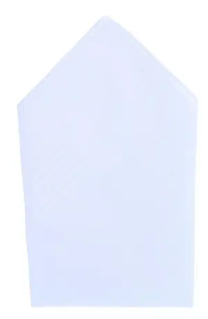 Trafalgar Baker's Dozen 13-pack Cotton Handkerchiefs