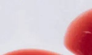 VIETRI Drop Wine Glass - Red