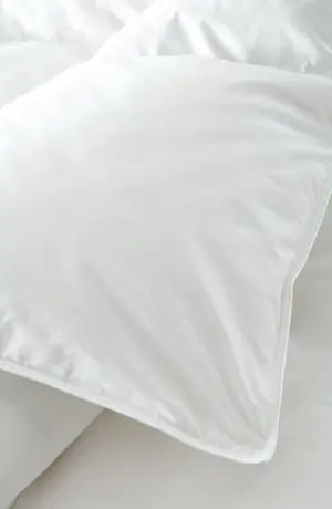 Nordstrom All Season Down Comforter
