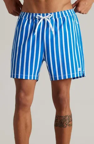 RHONE 5.5-inch Water Repellent Swim Trunks Royal Blue Wide Stripe