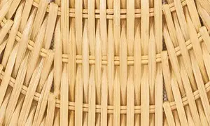 Staud Mini Moon Wicker Bag