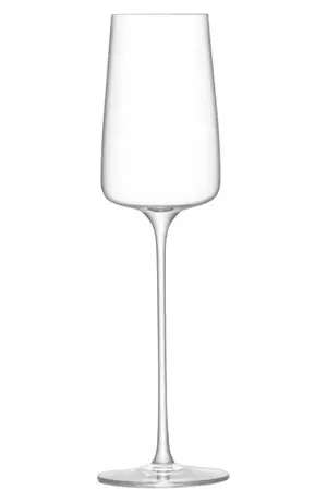 LSA Metropolitan Champagne Flute - Clear