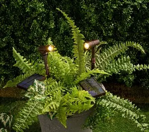 ENERGIZER Set Of 2 65-lumen Solar Spotlights W/ Remote Panel - One-color