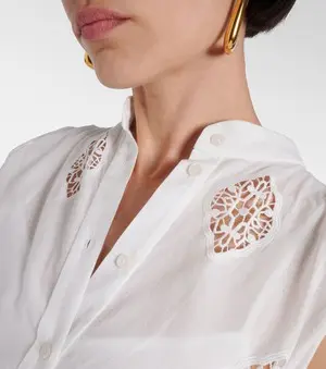Erdem Embroidered Cotton-blend Minidress