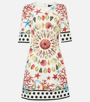 Dolce & Gabbana Capri Printed Minidress