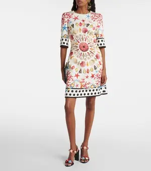 Dolce & Gabbana Capri Printed Minidress