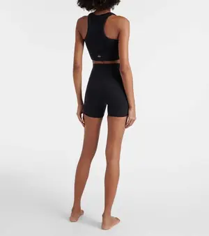 Alo Yoga Airbrush High-rise Biker Shorts