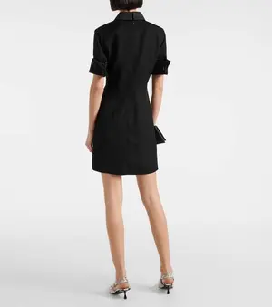 Sportmax Cipro Mini Shirt Dress