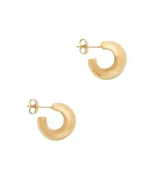 Polished Gold Plated Earrings
