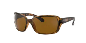 Ray-ban Ray-Ban RB4068 Sunglasses B-15 Brown
