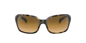 Ray-ban Rb4068 Sunglasses - Light Brown Gradient