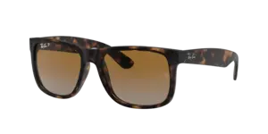 Ray-ban Justin Classic Sunglasses Brown,grey