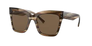 Giorgio Armani Sunglasses - Dark Brown