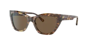 Emporio Armani Sunglasses - Brown