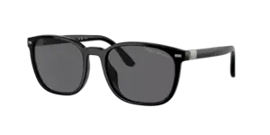 Polo Ralph Lauren Sunglasses Polar Grey