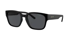 ARNETTE Arnette AN4325 Hamie Sunglasses Dark Grey