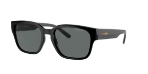 ARNETTE Arnette AN4325 Hamie Sunglasses Polarized Dark Grey