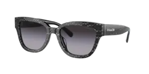 COACH Coach HC8379U CL920 Sunglasses Grey Gradient