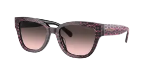 COACH Coach HC8379U CL920 Sunglasses Grey Rose Gradient