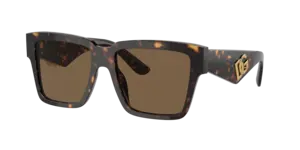 Dolce & Gabbana Dolce&Gabbana DG4436 Sunglasses Dark Brown