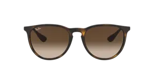 Ray-ban Erika Classic Sunglasses - Brown Gradient