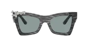 Dolce & Gabbana Dg4434 Sunglasses