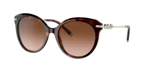 Tiffany & Co. Sunglasses Brown Gradient
