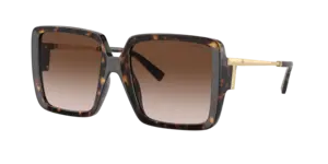 Tiffany & Co. Sunglasses Brown Gradient