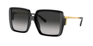 Tiffany & Co. Sunglasses - Grey Gradient