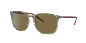 Ray-ban Ray-Ban Sunglasses Dark Brown