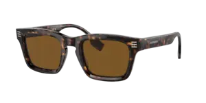Burberry Burberry Sunglasses Brown Polar