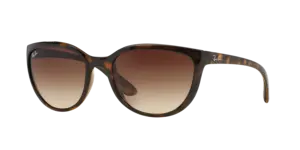 Ray-ban Ray-Ban RB4167 Sunglasses Brown