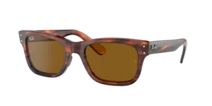 Ray-ban Ray-Ban Burbank Sunglasses Brown