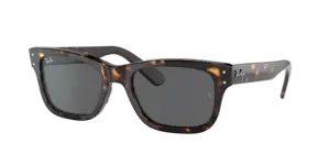 Ray-ban Ray-Ban Burbank Sunglasses Dark Grey