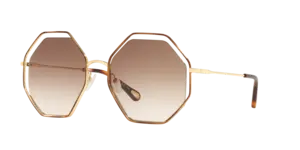 Chloé Ch0046s Sunglasses - Brown Gradient