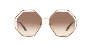 Chloé Ch0046s Sunglasses - Brown Gradient