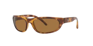 Ray-ban Sunglasses